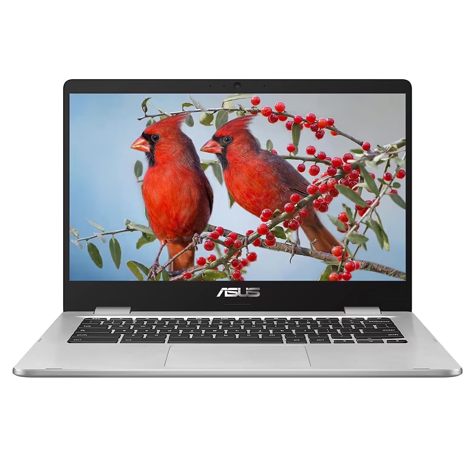 ASUS ChromeBook C424MA-BV0305 | Intel Celeron N4020 | 4GB | 128GB | 35 ...