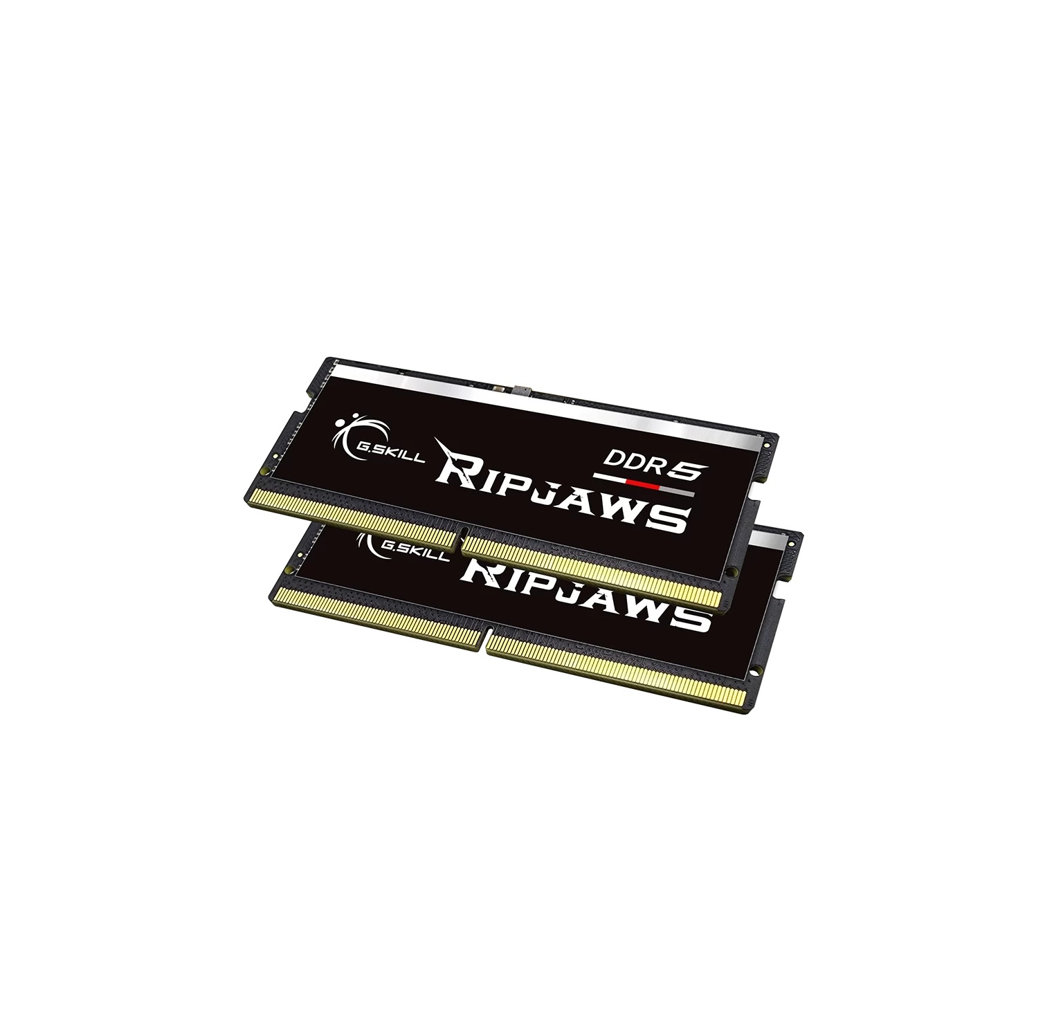 G.Skill 64GB (2x32GB) | PC SO | 4800MHz | CL40 | 32GX2-RS | RAM Pomnilnik